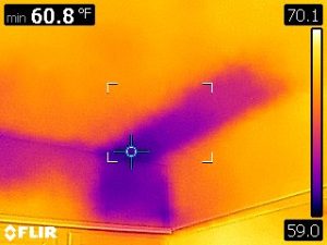Chicago Thermal Imaging - Alpha Home Inspections
